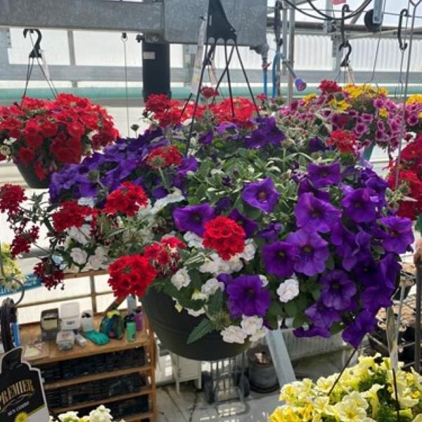 Selecta North America