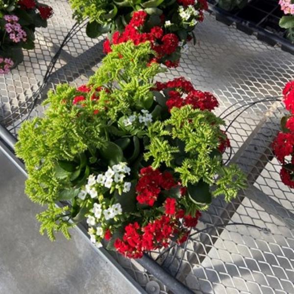 Selecta North America