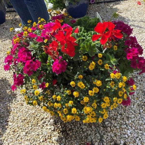 Selecta North America