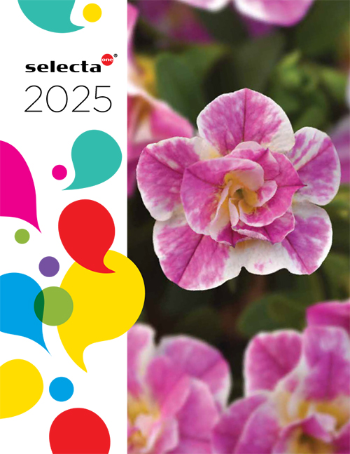 Catalogs